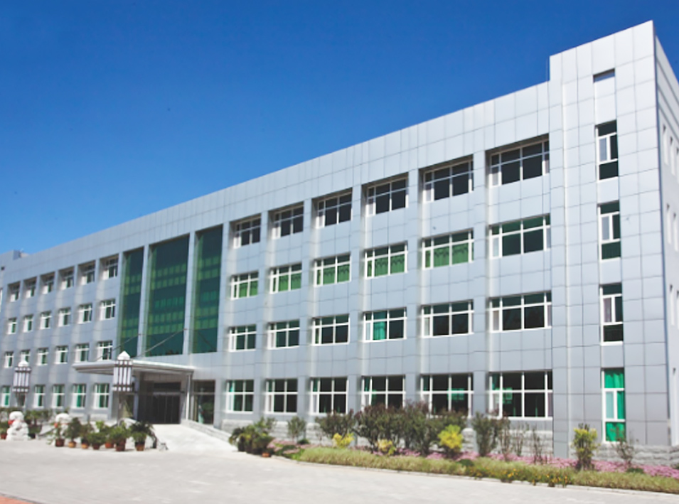 About Us - China Xinxing Shanghai Import and Export Co., Ltd.